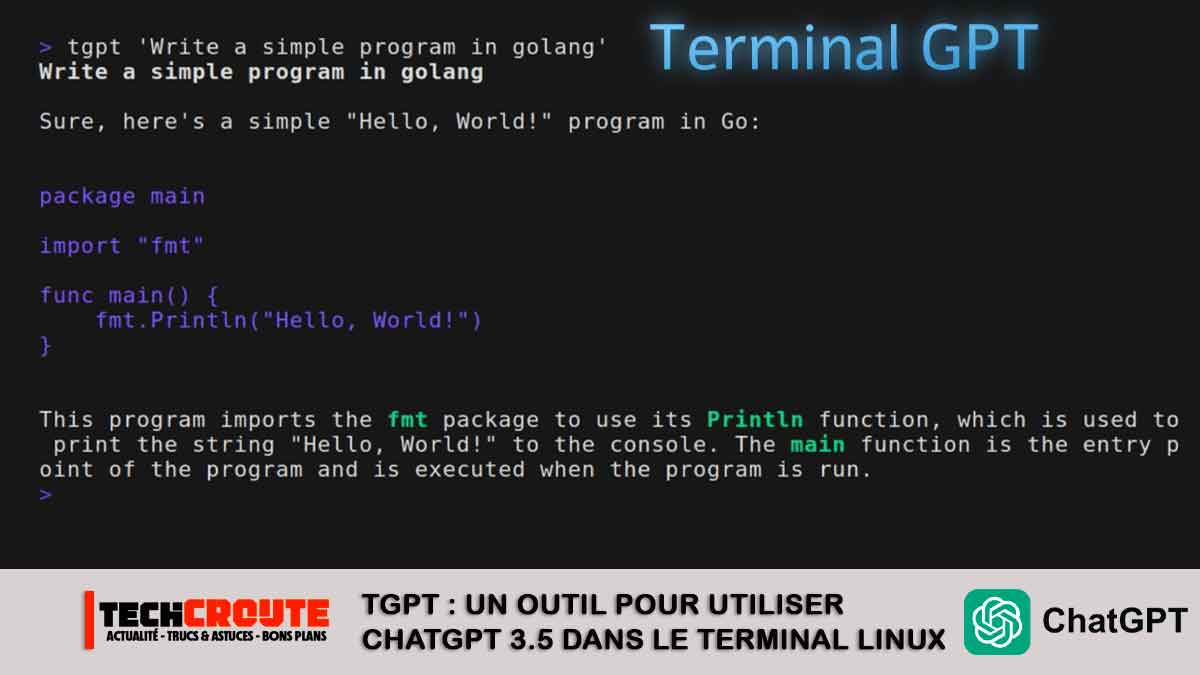 TGPT : un outil pour utiliser ChatGPT 3.5 dans le terminal Linux - TechCroute.com
